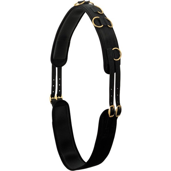 Out of Stock - HORZE Lunging Surcingle, Black, Horse - Chewy.com