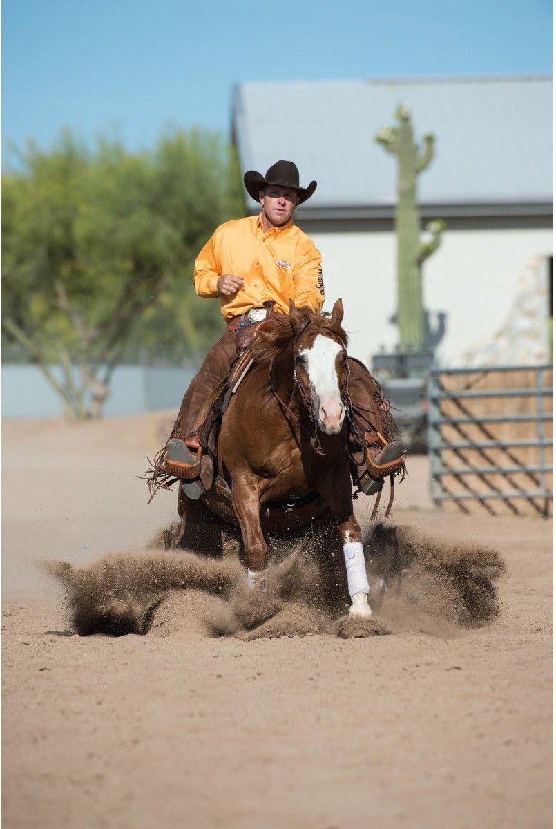 WEAVER EQUINE Prodigy Athletic Horse Boots, Medium, White - Chewy.com