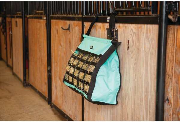 WEAVER EQUINE Slow Feed Horse Hay Bag, Mint - Chewy.com