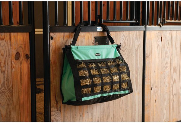 WEAVER EQUINE Slow Feed Horse Hay Bag, Mint - Chewy.com