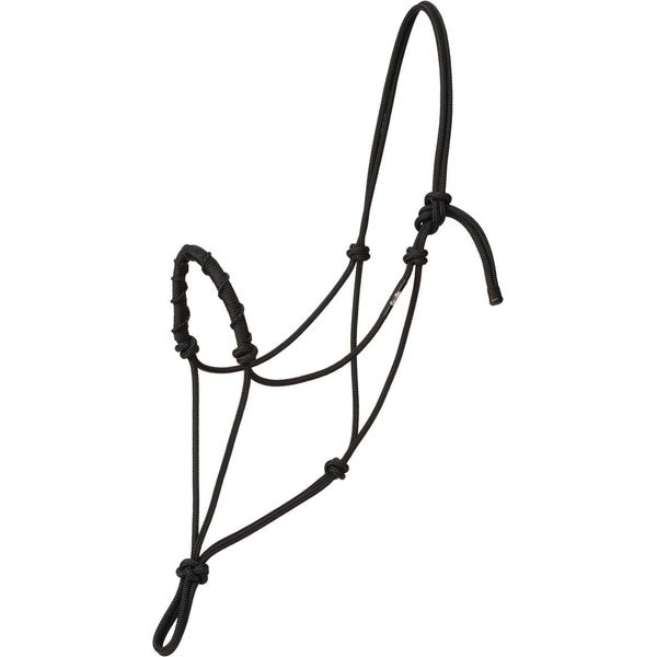 WEAVER EQUINE Silvertip No. 95 Rope Horse Halter & 10-ft Lead, Teal/Tan ...