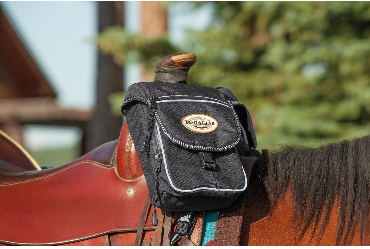 WEAVER EQUINE Trail Gear Horse Pommel Bags, Black - Chewy.com