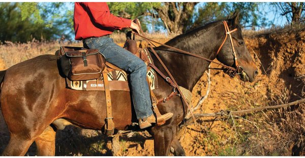 WEAVER EQUINE Trail Gear Horse Saddle Bags, Brown - Chewy.com