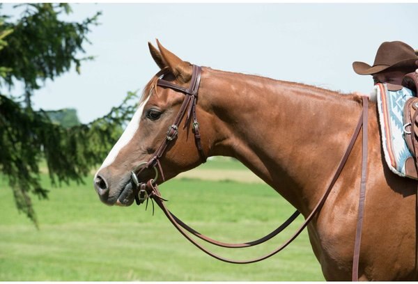 WEAVER EQUINE Working Tack Split Horse Reins, 8-ft x 5/8-in - Chewy.com