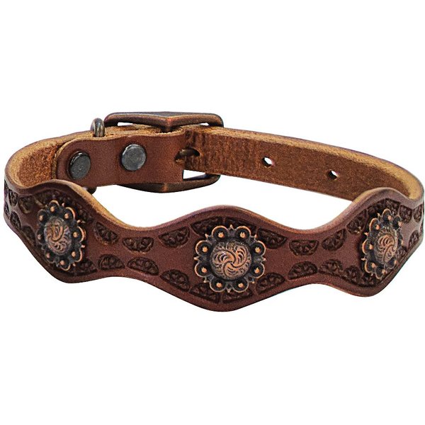 WEAVER PET Sundance Leather Dog Collar, 17 - 20 in, 1-in - Chewy.com