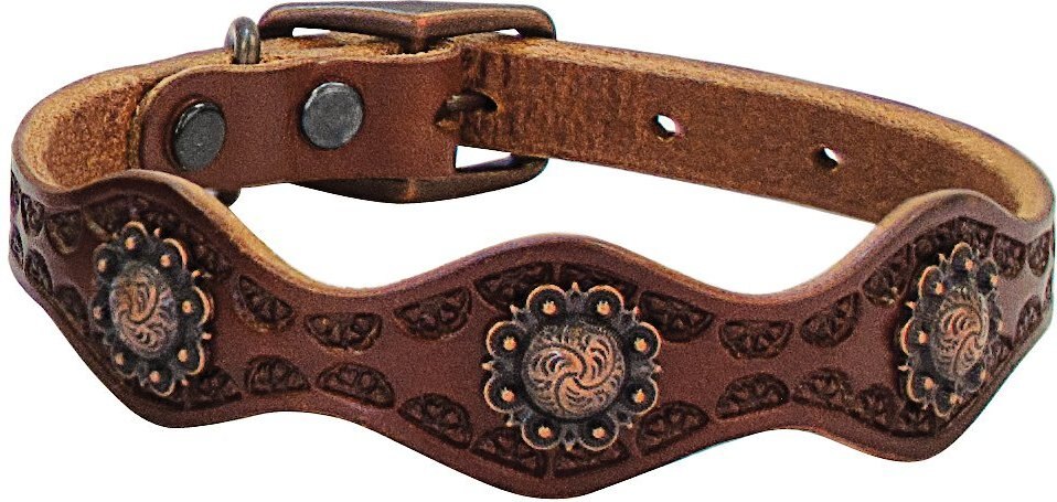 WEAVER PET Sundance Leather Dog Collar, 19 - 22 in, 1-in - Chewy.com
