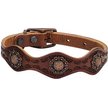 WEAVER PET Sundance Leather Dog Collar, 19 - 22 in, 1-in - Chewy.com
