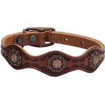 WEAVER PET Sundance Leather Dog Collar, 19 - 22 in, 1-in - Chewy.com