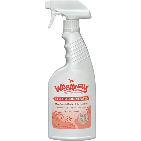 POOPH Cat & Dog Odor & Stain Eliminator, 20-fl oz bottle - Chewy.com