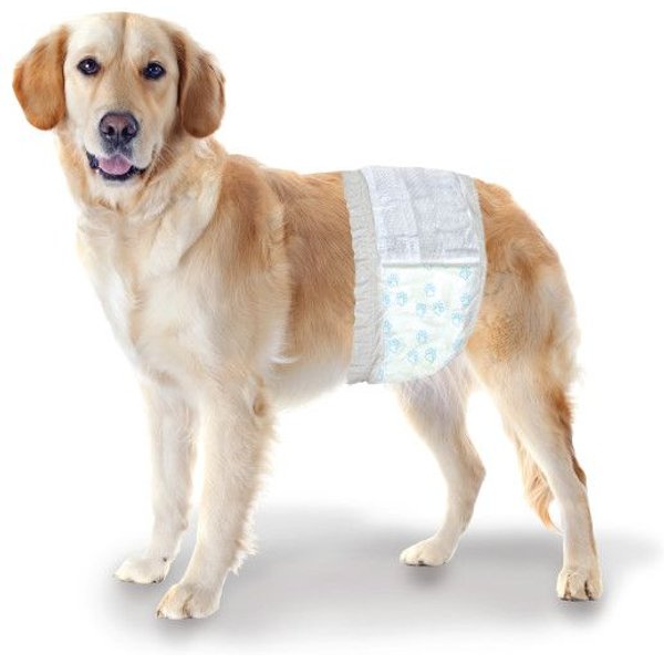 OUT! Disposable Male Dog Wraps, Medium/Large: 18 to 25-in waist, 32 ...