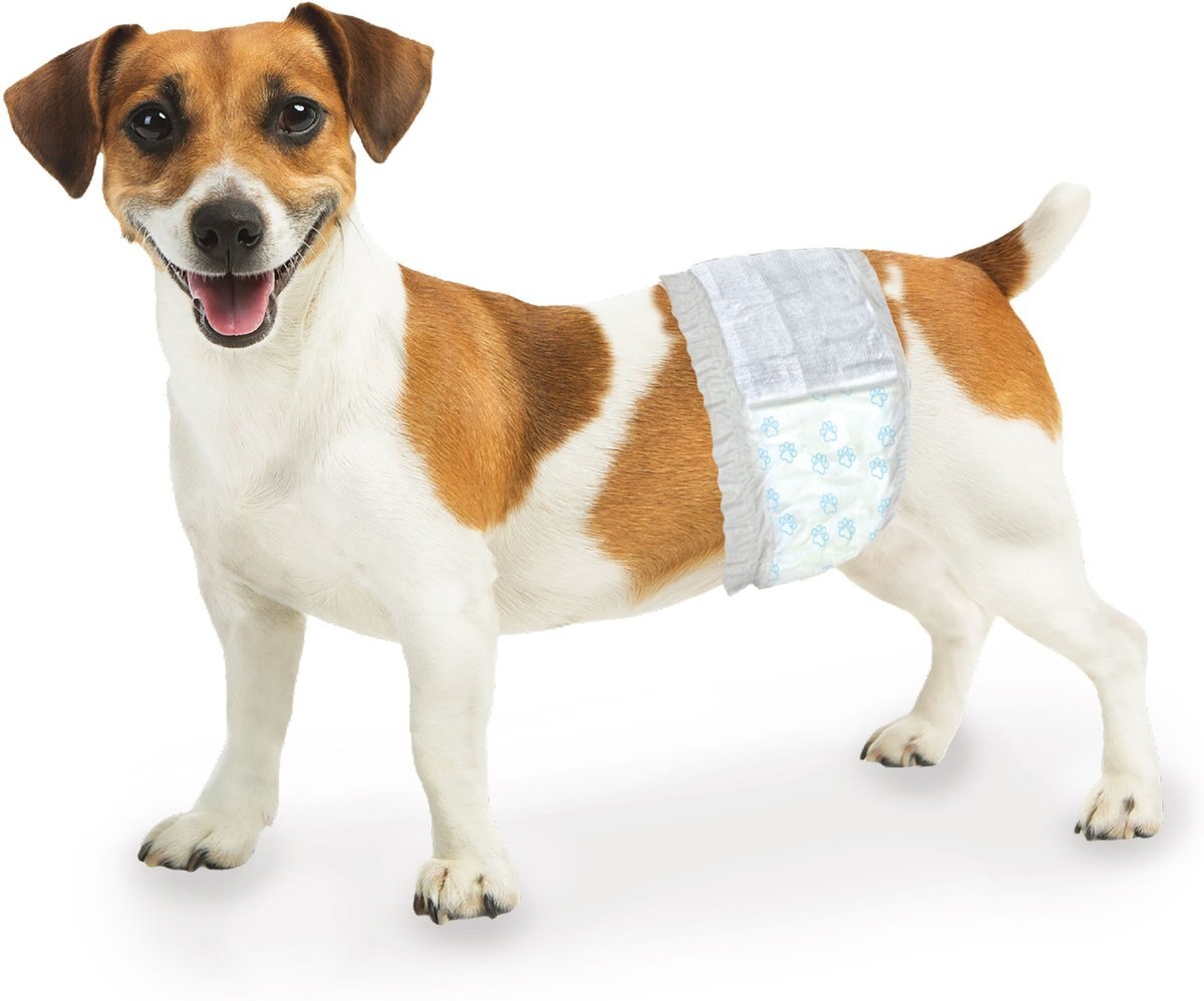 WEE-WEE Disposable Male Dog Wraps, X-Small/Small: 13 to 20-in waist, 36 ...