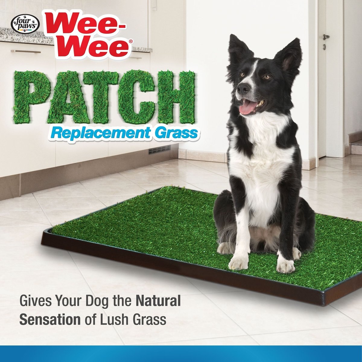 WEE-WEE Patch Replacement Grass Mat, Medium - Chewy.com