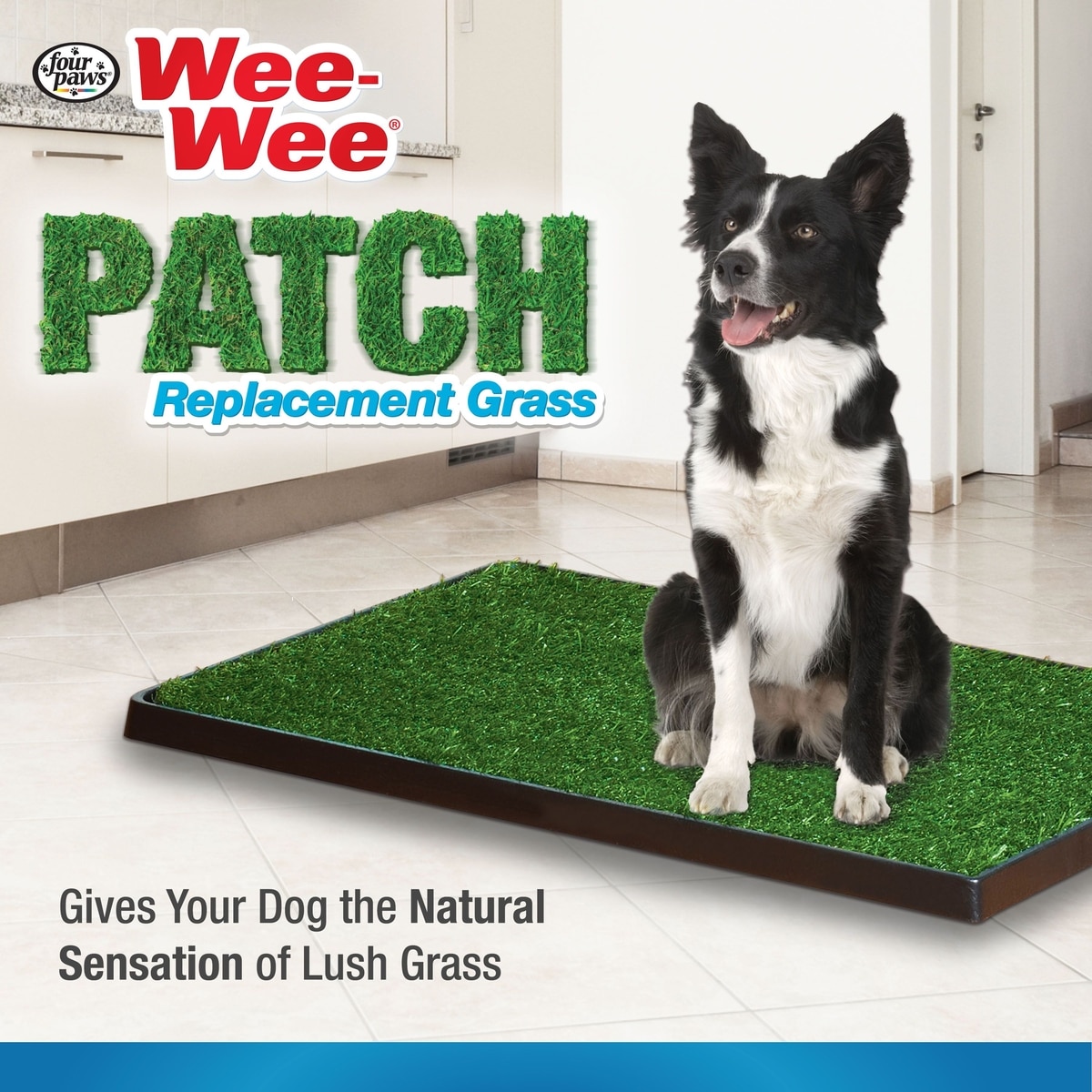 WEE-WEE Patch Replacement Grass Mat, Medium - Chewy.com