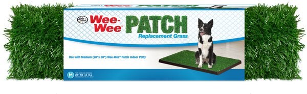WEE-WEE Patch Replacement Grass Mat, Medium - Chewy.com