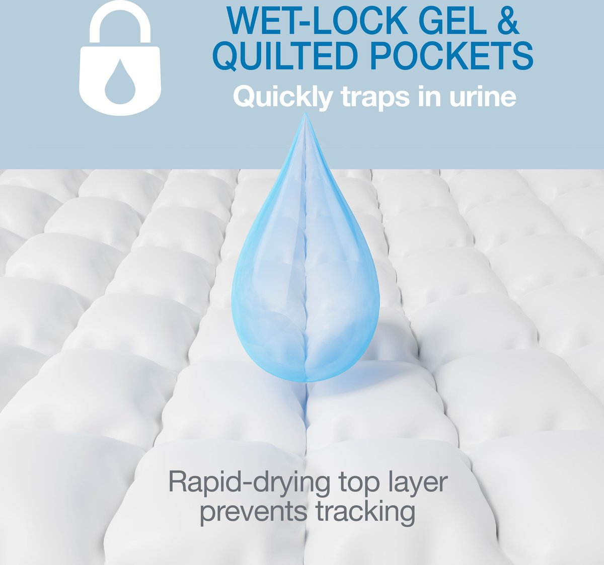 WEE-WEE Super Absorbent Dog Pee Pads with Insta-Rise Border, 22 x 23-in ...