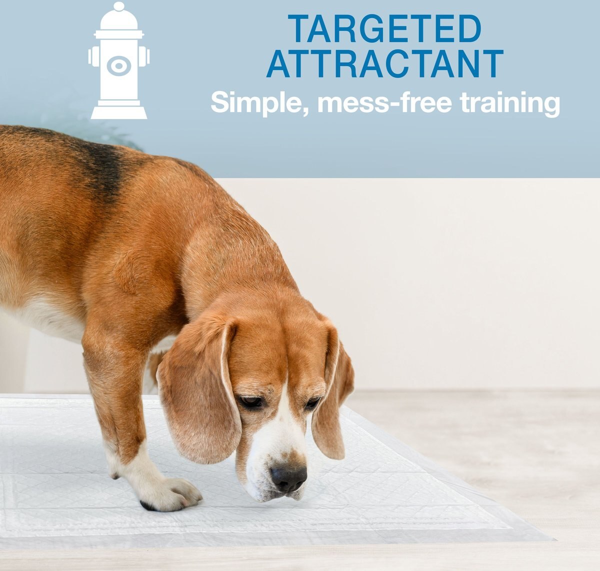 WEE-WEE Super Absorbent Dog Pee Pads with Insta-Rise Border, 22 x 23-in ...