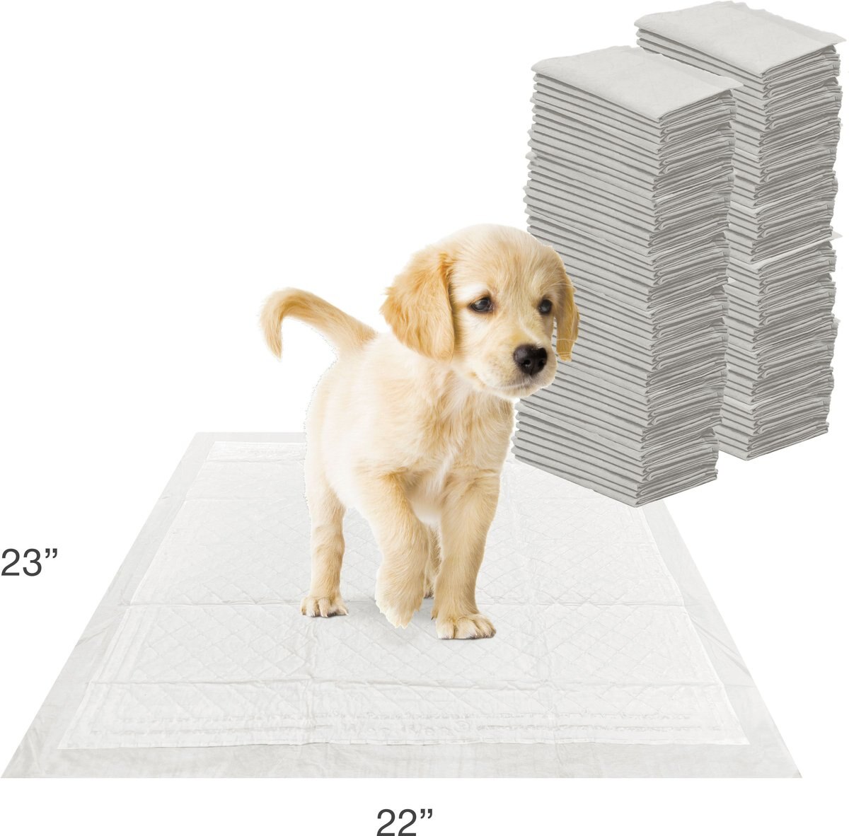 WEE-WEE Super Absorbent Dog Pee Pads with Insta-Rise Border, 22 x 23-in ...
