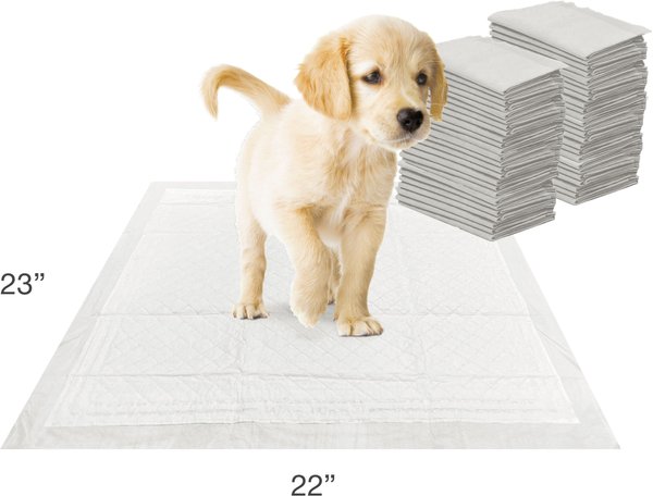 WEE-WEE Super Absorbent Dog Pee Pads with Insta-Rise Border, 22 x 23-in ...