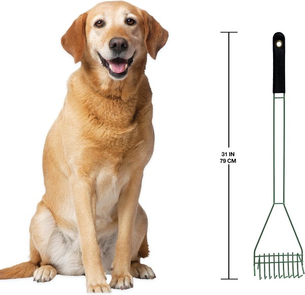 WEE-WEE Wire Rake Scooper for Grass - Chewy.com