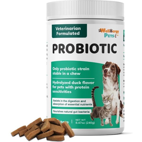 WELLNERGY PETS Probiotics & Prebiotics Supplement for Cats & Dogs, 160 ...