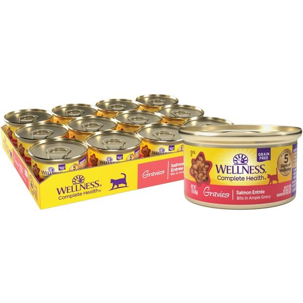 CAT FOOD DEALS (Free Shipping) | Chewy