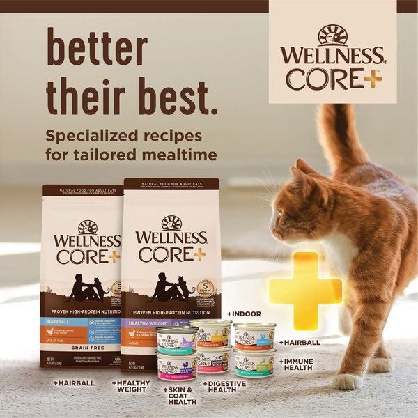 WELLNESS CORE+ Digestive Health Chicken Pate Grain-Free Natural Wet Cat ...