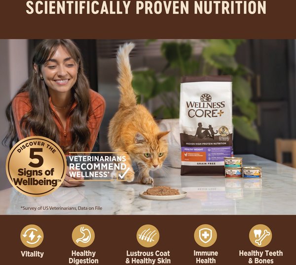 WELLNESS CORE Digestive Health Salmon & Whitefish Pate Grain-Free ...