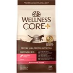 WELLNESS CORE Digestive Health Wholesome Grains Chicken & Rice Recipe ...