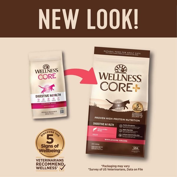 WELLNESS CORE Digestive Health Wholesome Grains Salmon & Rice Recipe ...