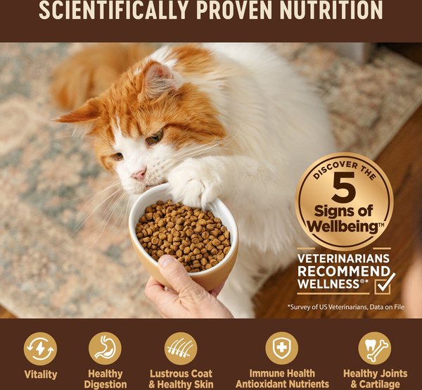 WELLNESS CORE Grain-Free Kitten Formula Natural Dry Cat Food, 5-lb bag ...