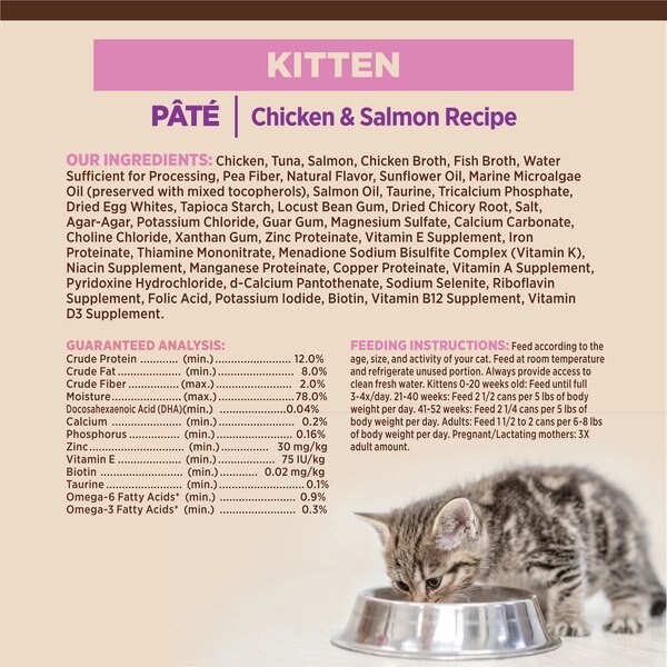 WELLNESS CORE Kitten Chicken & Salmon Natural Grain-Free Pate Wet Cat ...