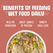 WERUVA Jammin' Salmon with Chicken & Salmon in Pumpkin Soup Grain-Free ...