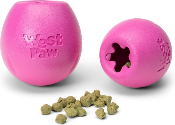 WEST PAW Rumbl Bouncy Ball Dog Toy, Hot Pink, Large - Chewy.com