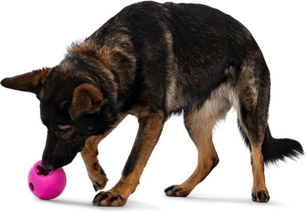 WEST PAW Rumbl Bouncy Ball Dog Toy, Hot Pink, Large - Chewy.com