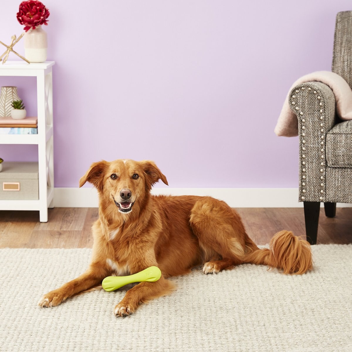 WEST PAW Zogoflex Hurley Tough Dog Chew Toy, Granny Smith, Large ...