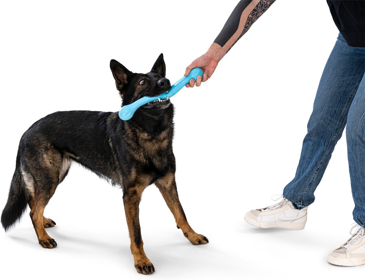 WEST PAW Zwig Tough Dog Chew Toy, Aqua Blue, Large: 13.75-in - Chewy.com