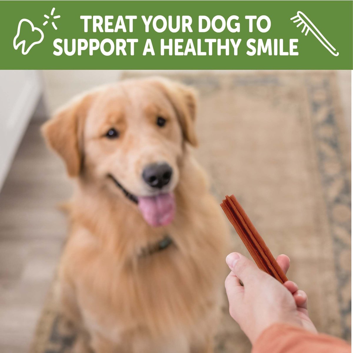 WHIMZEES by Wellness Stix Large Dental Chews Natural Grain-Free Dental ...