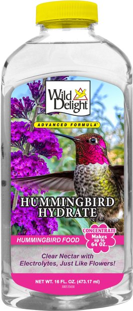 Hummingbird Nectar - Hummingbird Food for Sale | Chewy