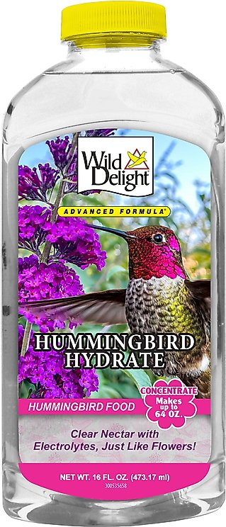 Hummingbird Nectar - Hummingbird Food for Sale | Chewy