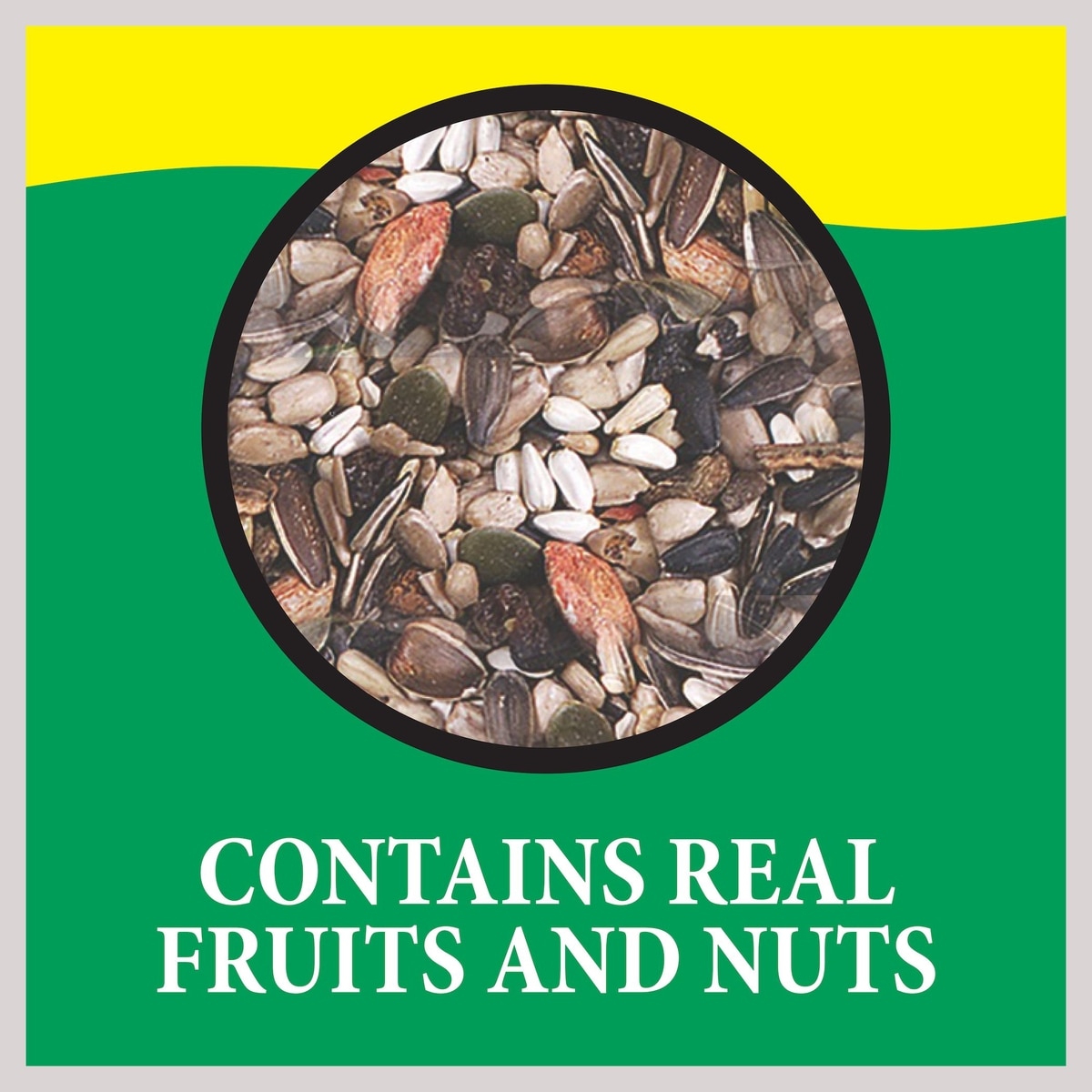 WILD DELIGHT Nut N' Berry Wild Bird Food, 10-lb bag - Chewy.com