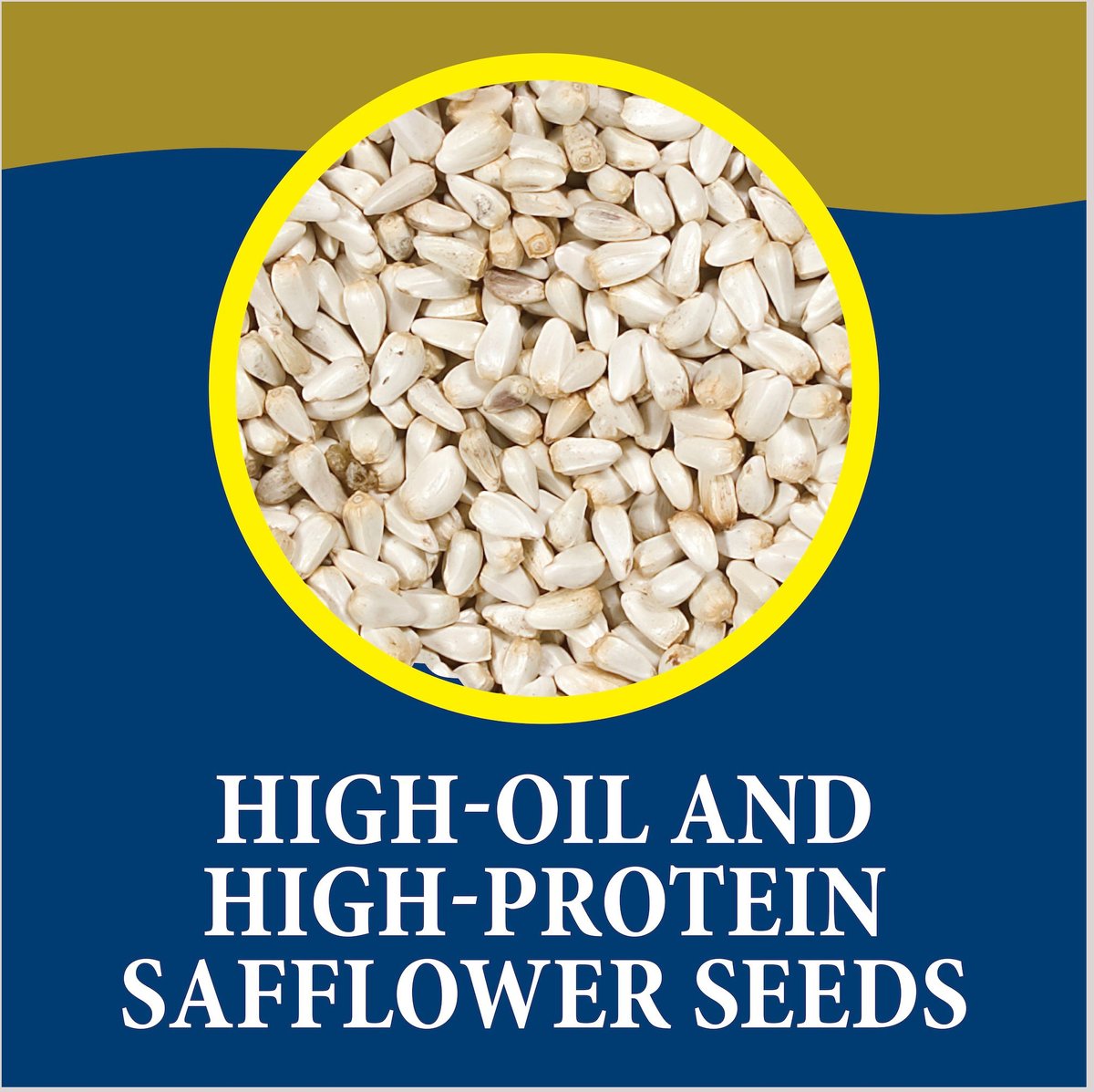 WILD DELIGHT Safflower Wild Bird Food, 8-lb - Chewy.com