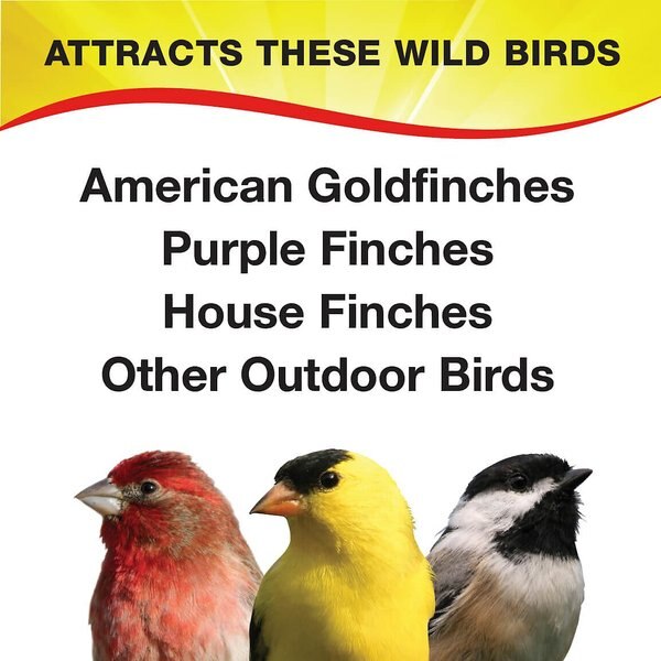 WILD DELIGHT Special Finch Wild Bird Food, 5-lb bag - Chewy.com