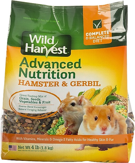 Hamster Food | Chewy