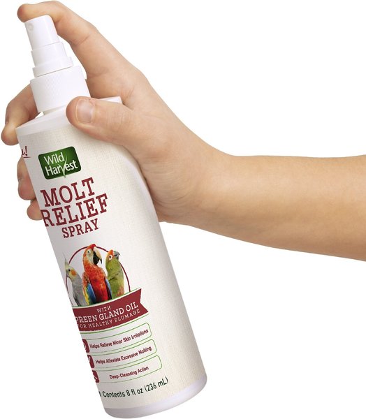 WILD HARVEST Molt Relief Bird Spray, 8-oz bottle - Chewy.com