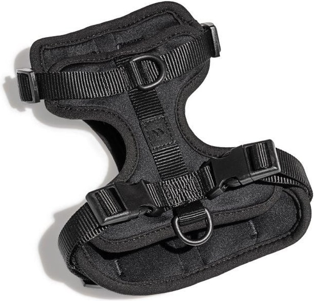 WILD ONE Adjustable Cushioned Dog Harness, Black, Large - Chewy.com