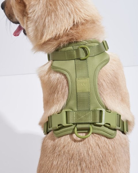 WILD ONE Adjustable Cushioned Dog Harness, Moss, Large - Chewy.com