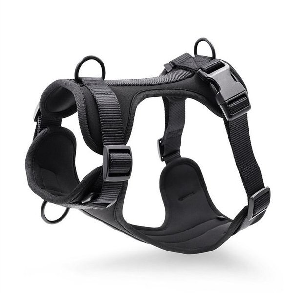 WILDHOUND C4 No-Pull Premium Dog Harness, Black, Medium - Chewy.com