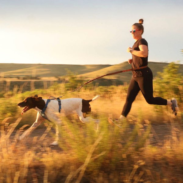 WINGO OUTDOORS Goose Active Hands-Free Dog Leash, Wingo Mosaic, 8-ft ...