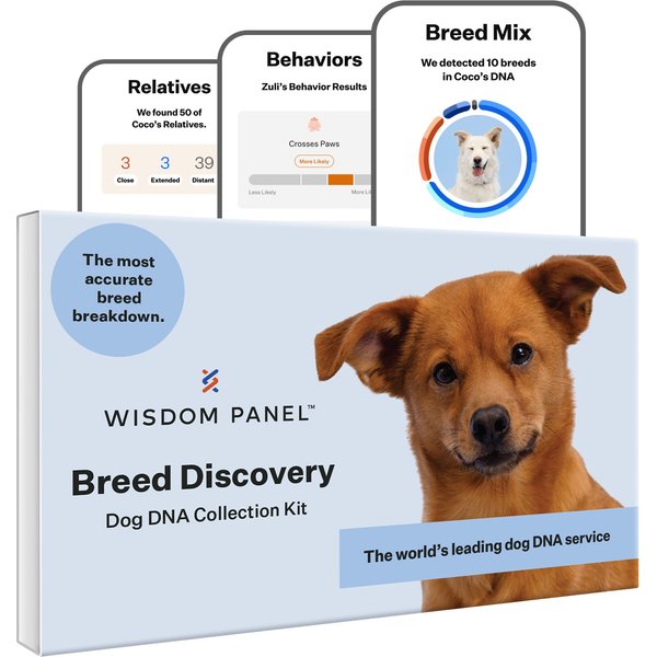 WISDOM PANEL Breed Discovery Breed Identification DNA Test for Dogs ...