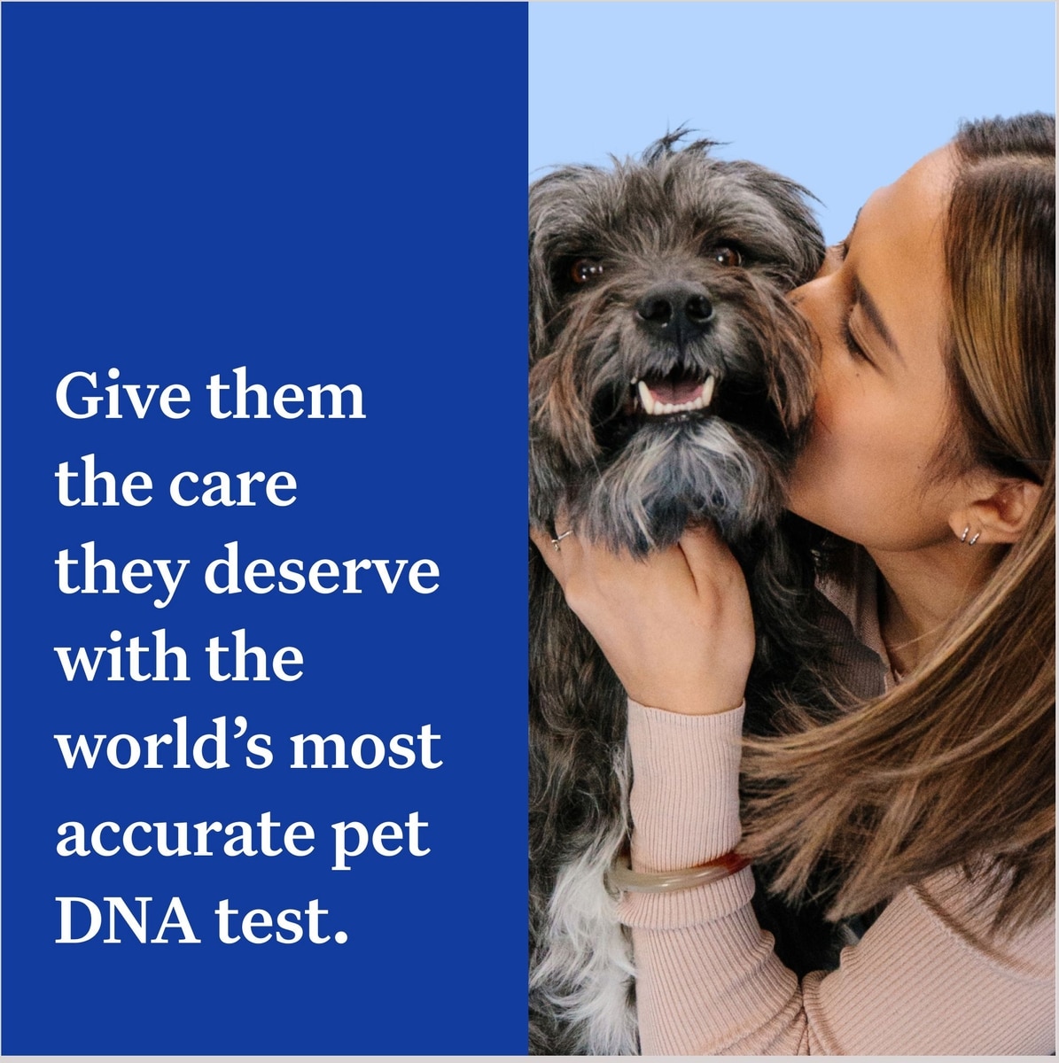 WISDOM PANEL Essential Breed Identification DNA Test for Dogs - Chewy.com